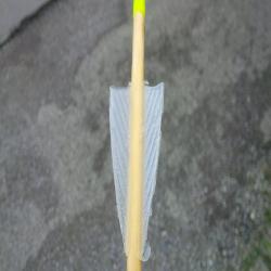 pokemon fletching 3D Models | Page 1 | STLFinder