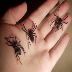 domestic house spider 3d models 【 STLFinder