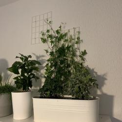 plant grid 3D Models | Page 1 | STLFinder