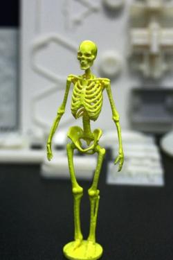 skeleton key display 3D Models | Page 1 | STLFinder
