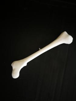 bone chain necklace 3D Models | Page 1 | STLFinder