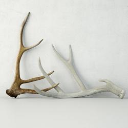 deer antler 3d models | Page 1 | STLFinder