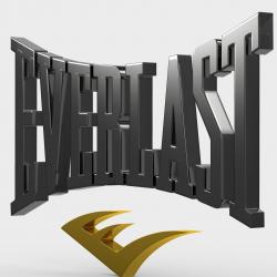 everlast logo 3D Models | Page 1 | STLFinder