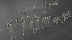 skeleton poses 3D Models | Page 1 | STLFinder