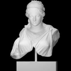 bust of artemis 3D Models | Page 1 | STLFinder