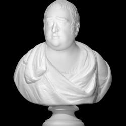 bust of the grey fox 3d models 【 STLFinder