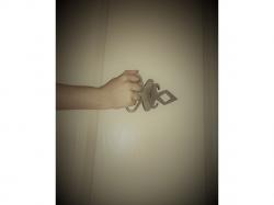 eagle shadow fist 3D Models | Page 1 | STLFinder