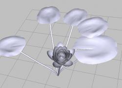 lily marsh 3d models 【 STLFinder