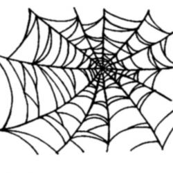 spider webs 3d models 【 STLFinder