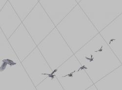 raven flock 3D Models | Page 1 | STLFinder