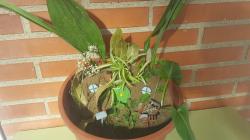 baggins of bag end 3D Models | Page 1 | STLFinder