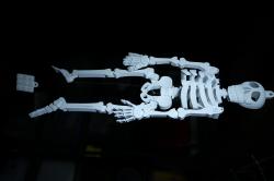 lego skeleton dancing gif 3D Models | Page 1 | STLFinder