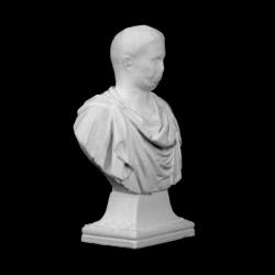 nero bust 3d models 【 STLFinder