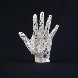 scaffold bone in hand 3D Models | Page 1 | STLFinder