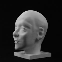art models 7 dynamic figures for the visual arts | Page 1 | STLFinder
