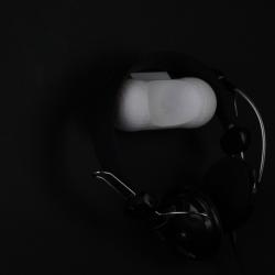 three sea shells 3D Models | Page 1 | STLFinder