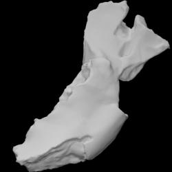 giant ground sloth action figure 3D Models | Page 1 | STLFinder