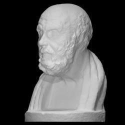 chrysippus 3D Models | Page 1 | STLFinder