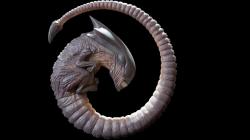 aliens chestburster 3D Models | Page 1 | STLFinder