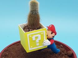 mario helper 3D Models | Page 1 | STLFinder