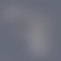 raven arms mp 25 3d model | Page 1 | STLFinder