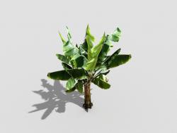 banana single tree low poly 3D Models | Page 1 | STLFinder