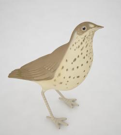 hermit thrush 3d models | Page 1 | STLFinder