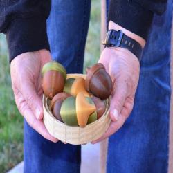 acorns sdl 3D Models | Page 1 | STLFinder