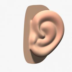 ear cartoon 3D Models | Page 1 | STLFinder