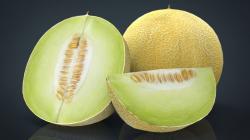 swissarts models galia | Page 1 | STLFinder