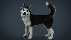 siberian husky 3d animation | Page 1 | STLFinder
