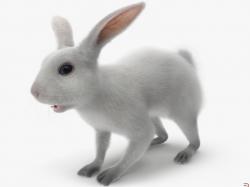 rabbit white 3d models | Page 1 | STLFinder