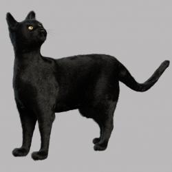 black cat models | Page 1 | STLFinder