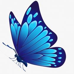 blue butterfly models uk | Page 1 | STLFinder