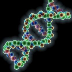 dna molecule model project | Page 1 | STLFinder