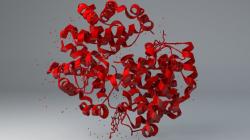 hemoglobin 3d model | Page 1 | STLFinder
