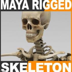 maya model human | Page 1 | STLFinder
