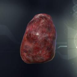 spleen human anatomy 3D Models | Page 1 | STLFinder