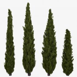 italian cypress 3d models | Page 1 | STLFinder