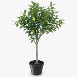 potted lemon tree 3D Models | Page 1 | STLFinder