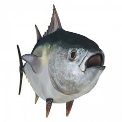 Tuna fish RIG 3D Models | Page 1 | STLFinder