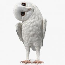 barn owl black and white drawing 3D Models | Page 1 | STLFinder