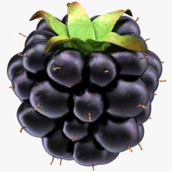blackberry models | Page 1 | STLFinder
