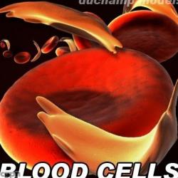 sickle cell anemia animation 3D Models | Page 1 | STLFinder