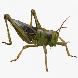 advanced 3d printing with grasshopper clay and fdm pdf | Page 1 | STLFinder