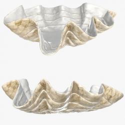 ford model a drive line clam shell bolts | Page 1 | STLFinder