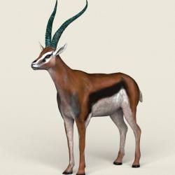 antelope gazelle 3D Models | Page 1 | STLFinder