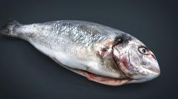 bream head track staircase volunteer restored fundraising 3D Models ...