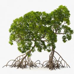 mangrove tree 3d models | Page 1 | STLFinder
