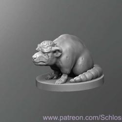 cranium rat 3d models 【 STLFinder